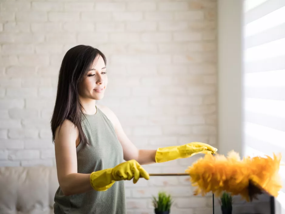 Informationen zum Thema Staub wischen