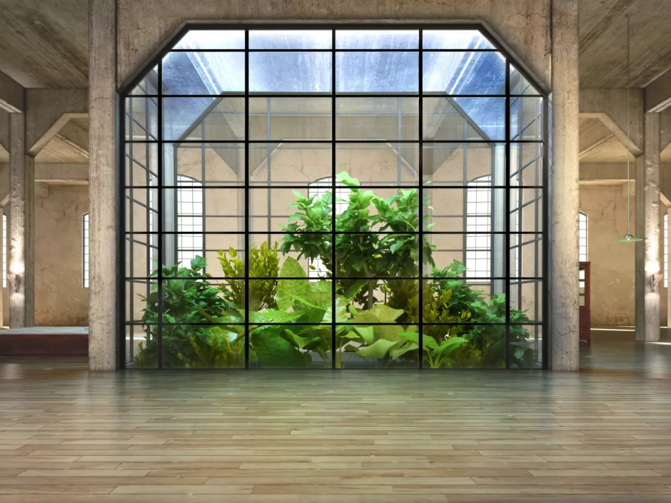 Informationen zum Thema Atriumhaus