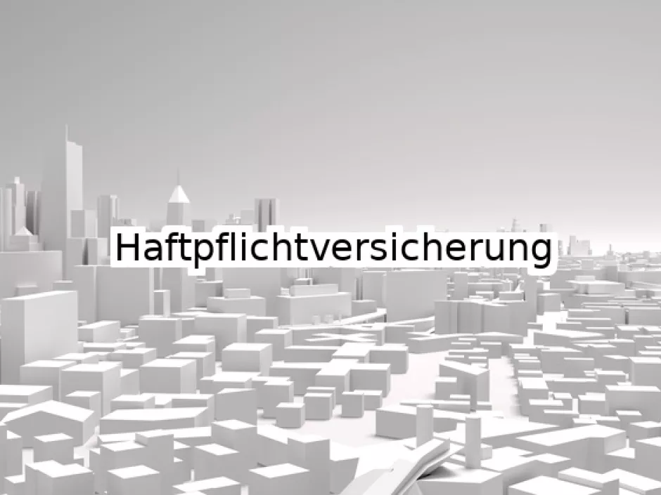 Informationen zum Thema Haftpflichtversicherung