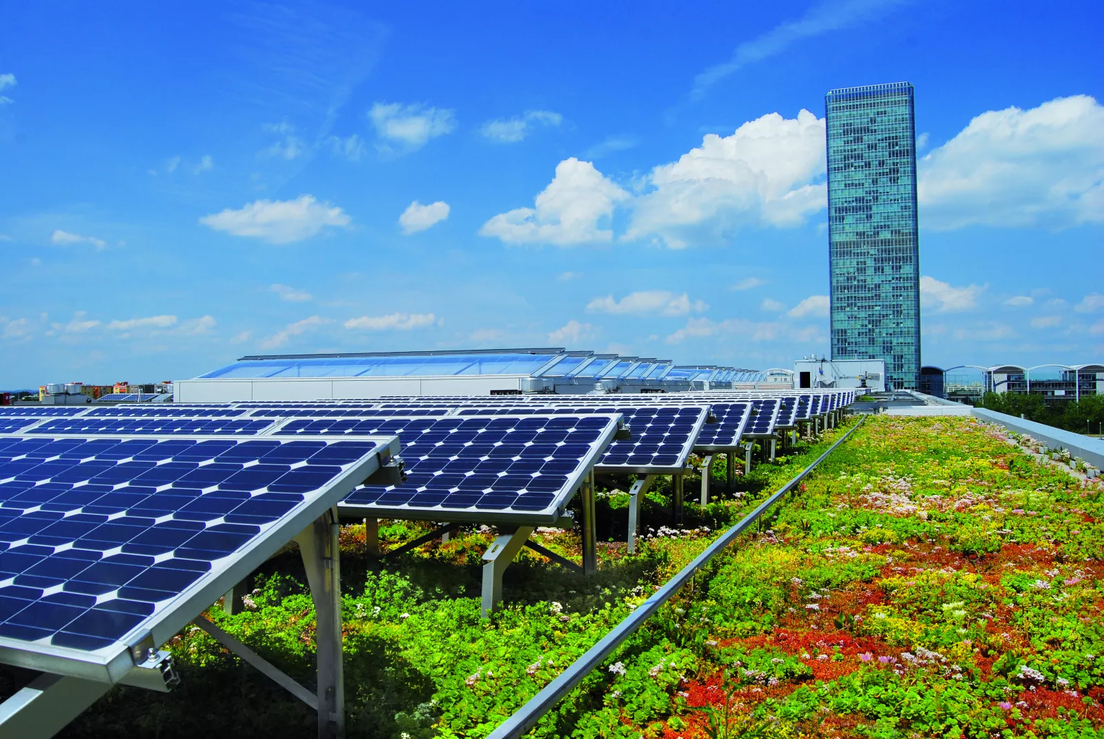 Info zur Kombination von Solaranlage und Gründach