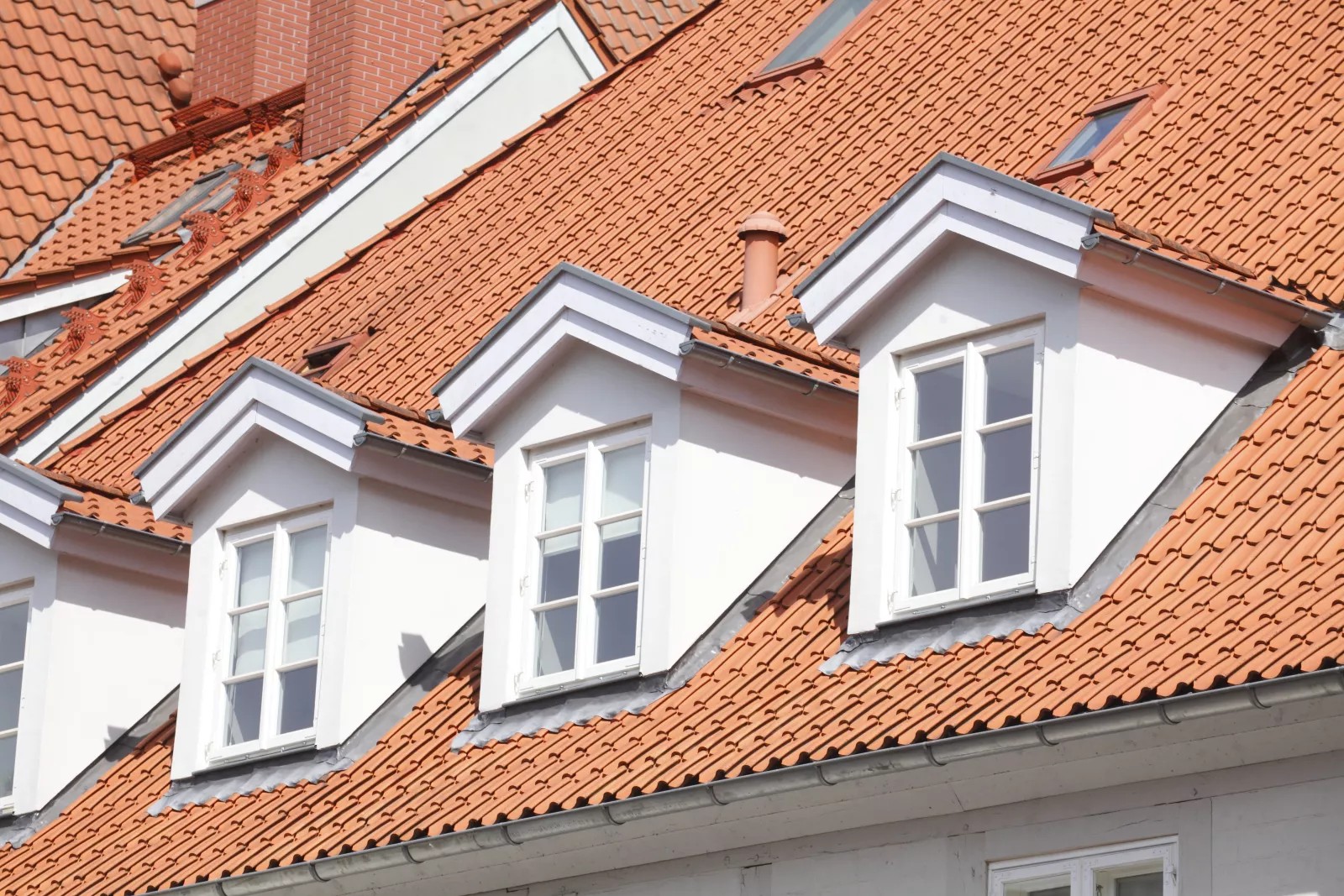 Informationen zum Thema Gaube