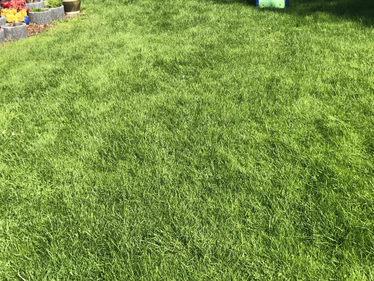 Gartengestaltung durch Rasen mähen